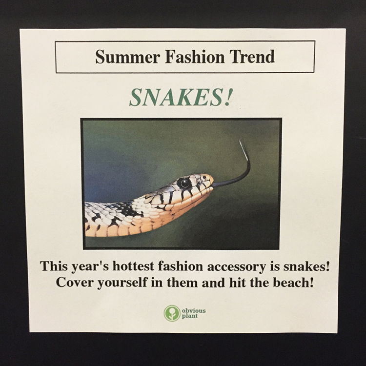Obvious Plant Leaves Funny Fake Summer Fashion Trend Flyers at a Local Mall