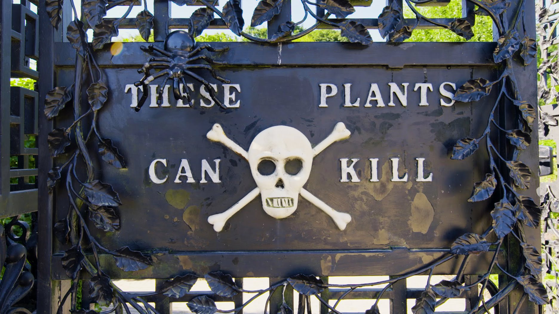 A Fascinating English Garden Made Up Completely of Poisonous Plants