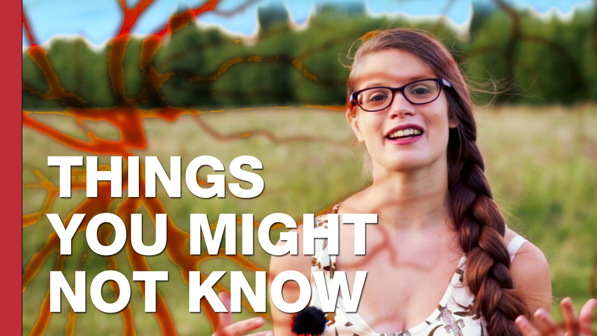 The Causes of Four Common Visual Phenomenon Most People Experience