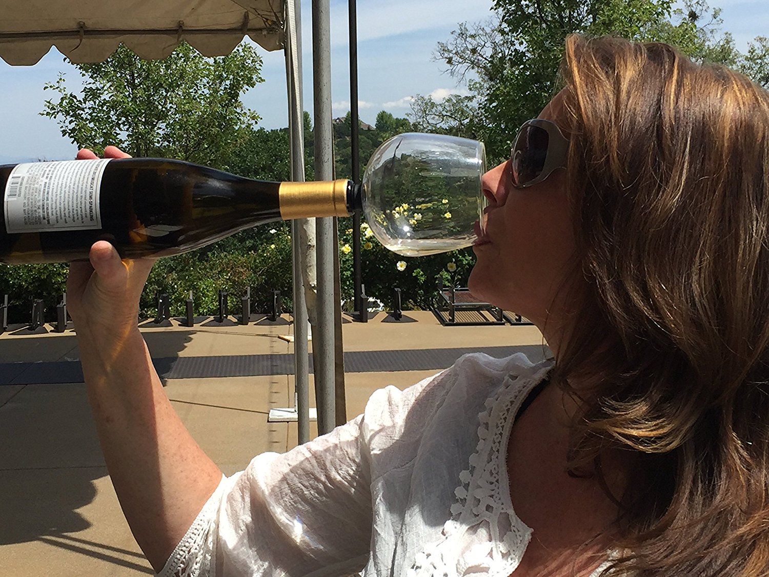 Guzzle Buddy, A Handy Device That Transforms an Entire Bottle of Wine ...