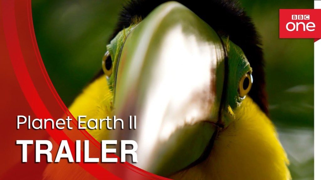 Planet Earth II, A Sequel to the Acclaimed BBC Documentary Narrated by ...
