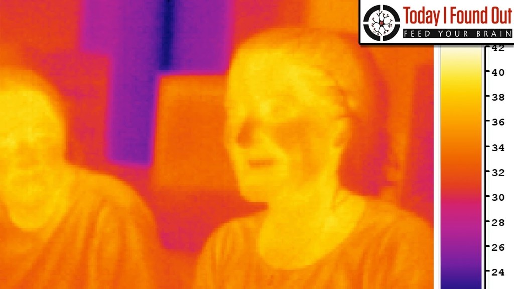 Why Humans Can Suffer the Effects of Overheating in Ambient ...