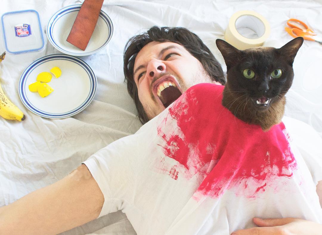 A Human and His Cats Recreate Famous Movie Scenes