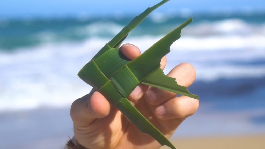 How to Make a 'Fish on a Stick' Toy for Kids Using a Single Palm Leaf