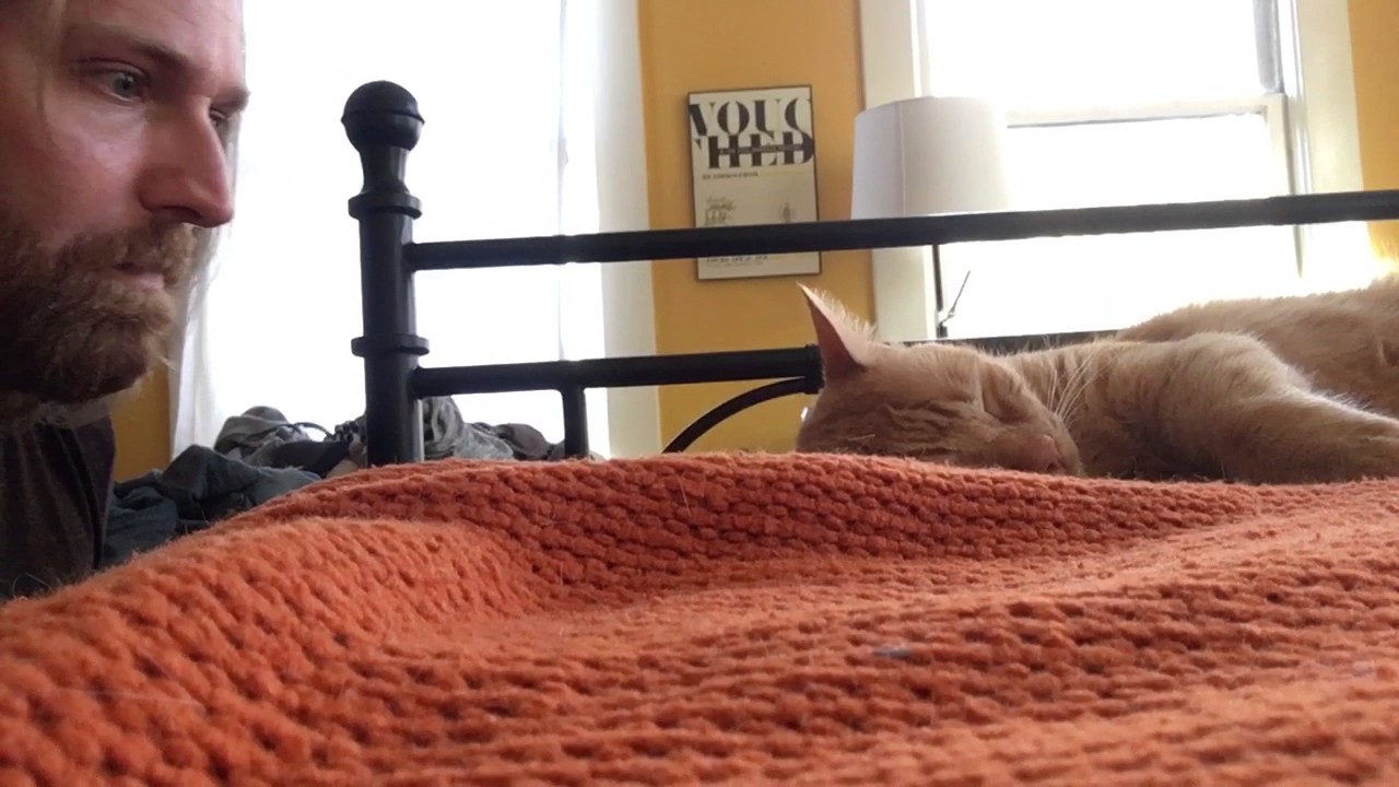 A Tired Man Meows Loudly at His Sleeping Cat in Revenge for a Week of ...
