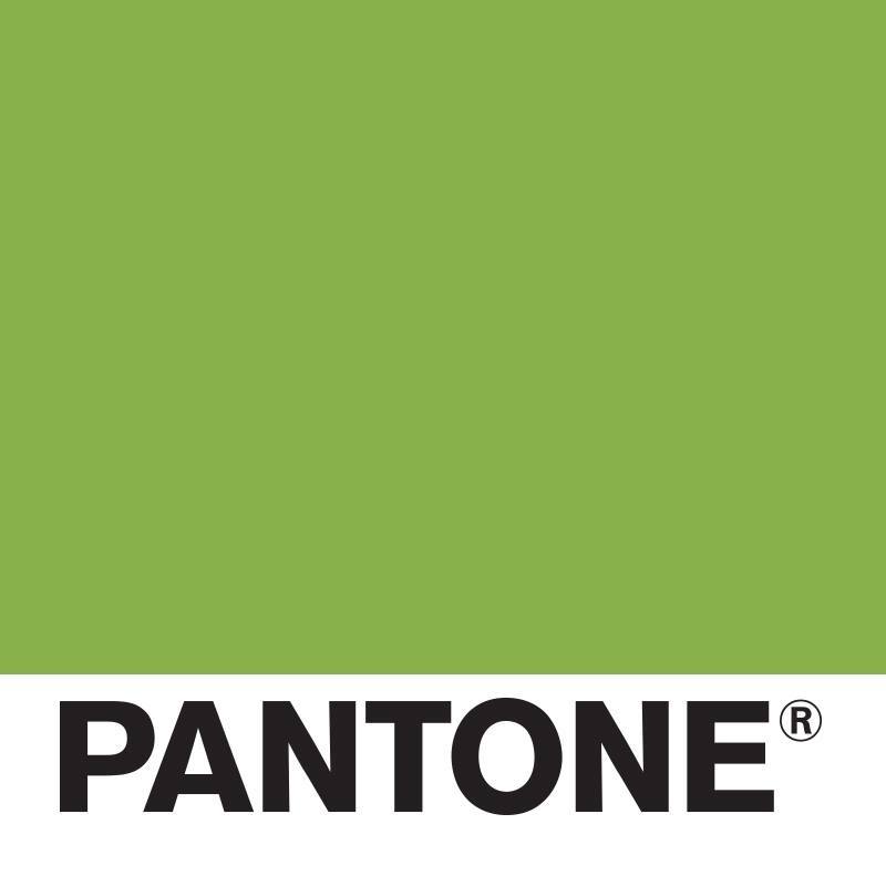 Pantone Color of the Year 2017 Is 15-0343 'Greenery'