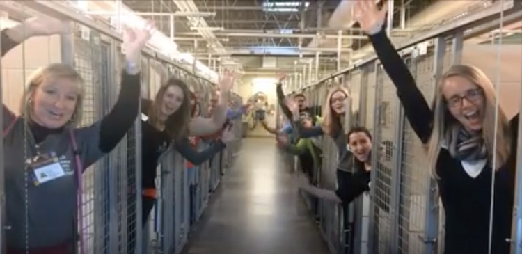 Colorado Humane Society Staff Cheers the Empty Kennels After All ...