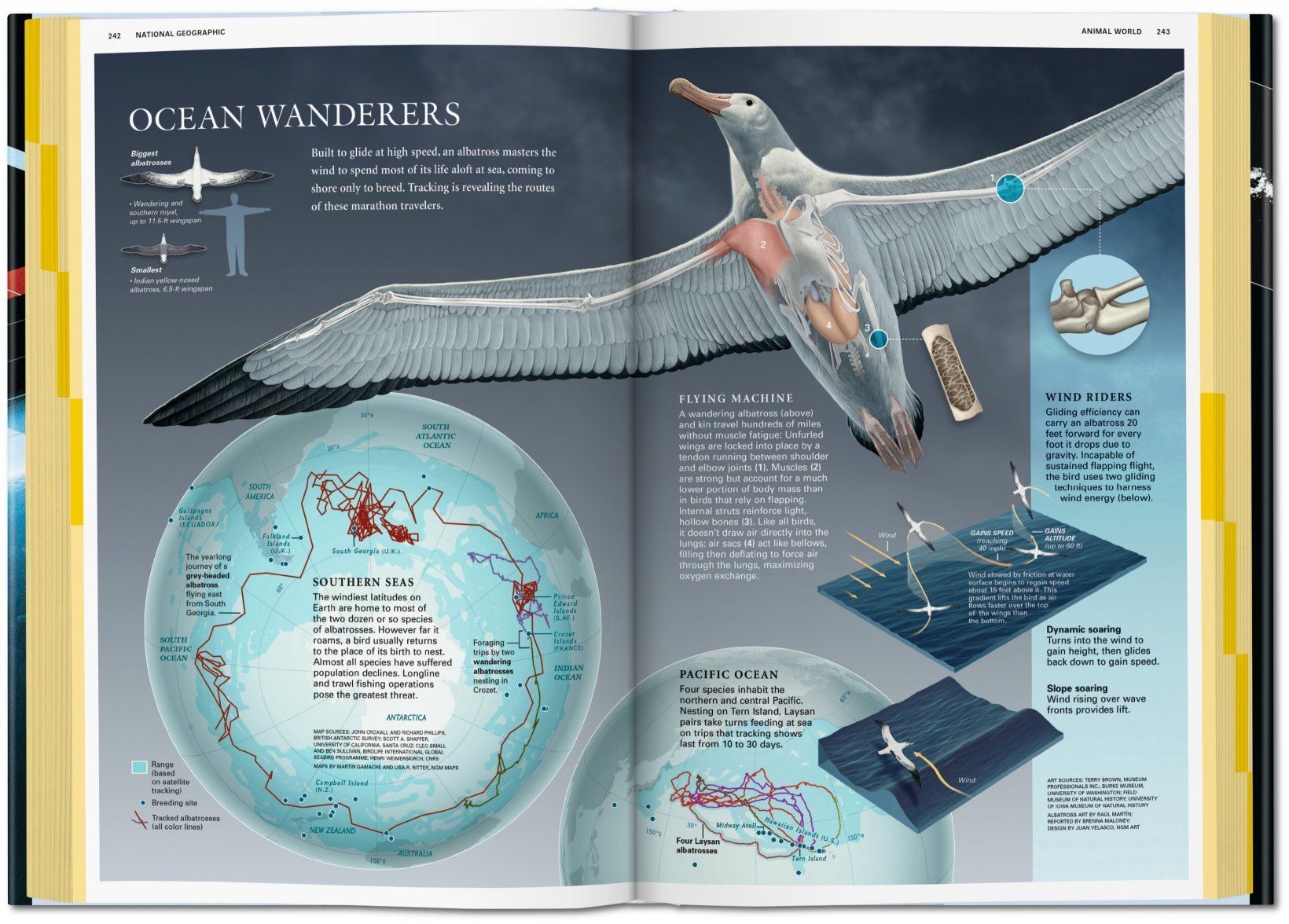 National Geographic Infographics, A Pictorial History of the Magazine's ...