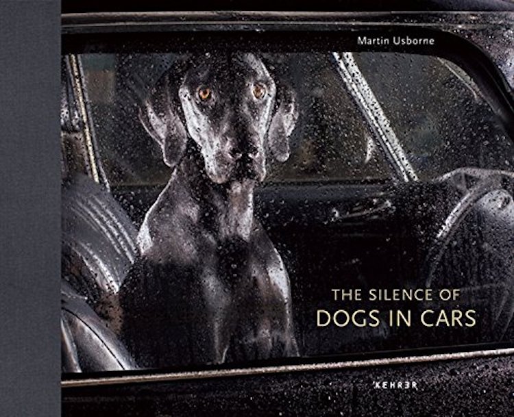 The Silence of Dogs in Cars, A Poignant Photo Book That Captures the ...