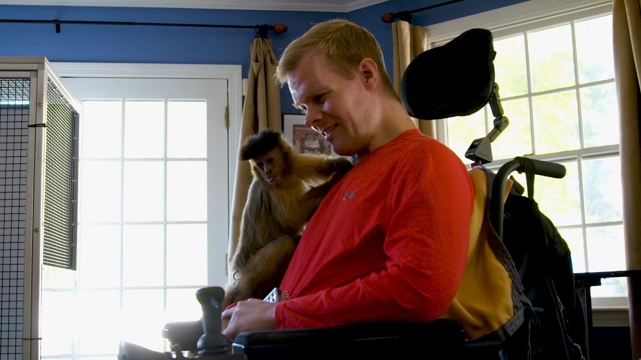 Tiny Capuchin Monkeys Offer a Helping Hand to People Who Lost Their ...