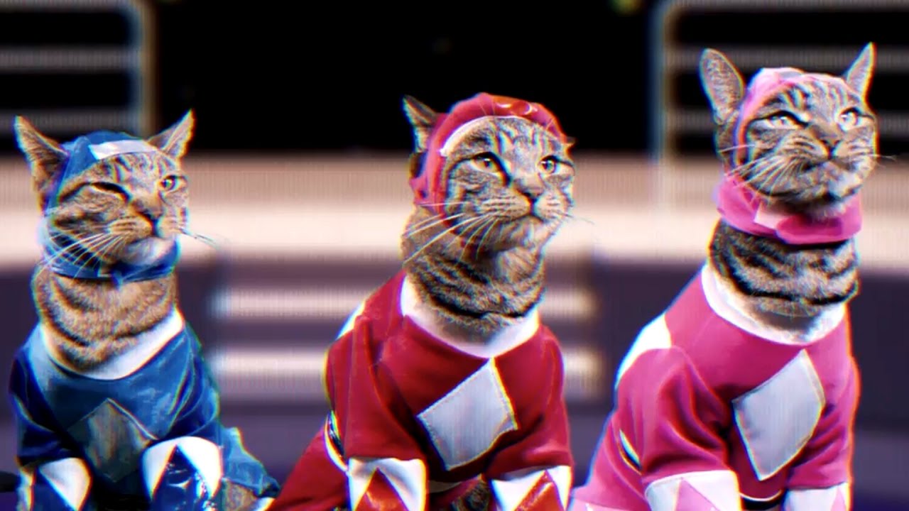 Feline Power Rangers Assemble to Cat Nap in 'Mighty Morphin Meower Rangers'