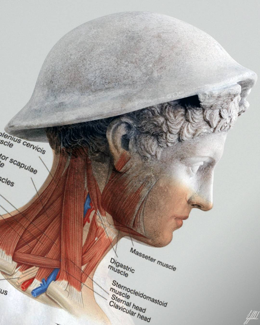Anatomy of a Marble, What Classic Stone Statues Would Look Like If They ...
