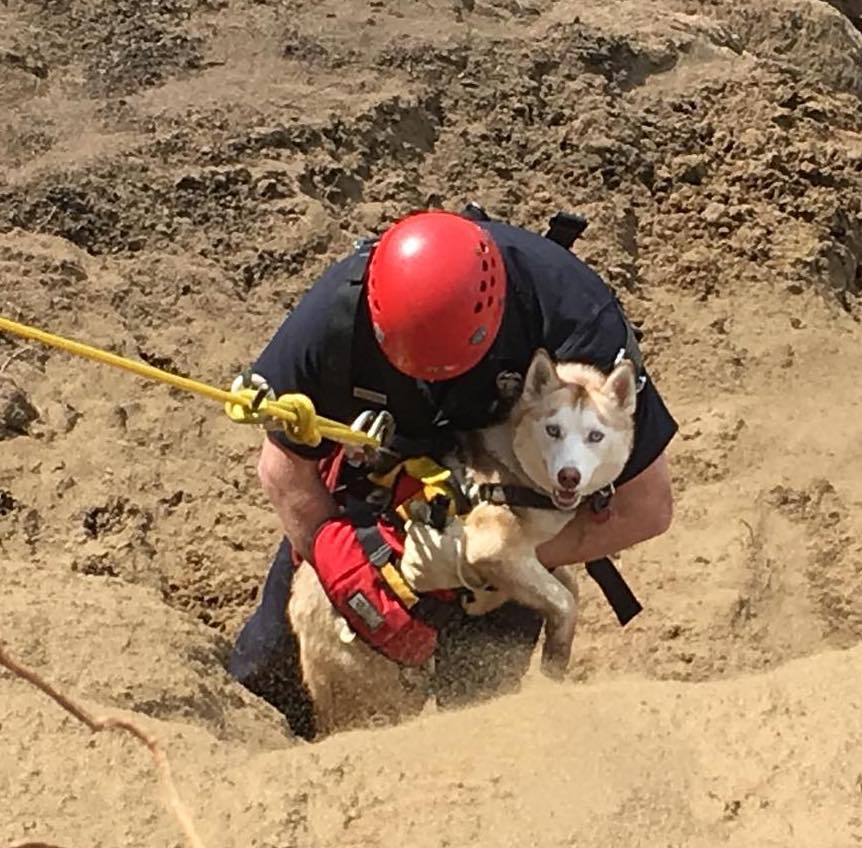 Brave San Francisco Fire Fighters Work Together to Rescue a Stranded ...