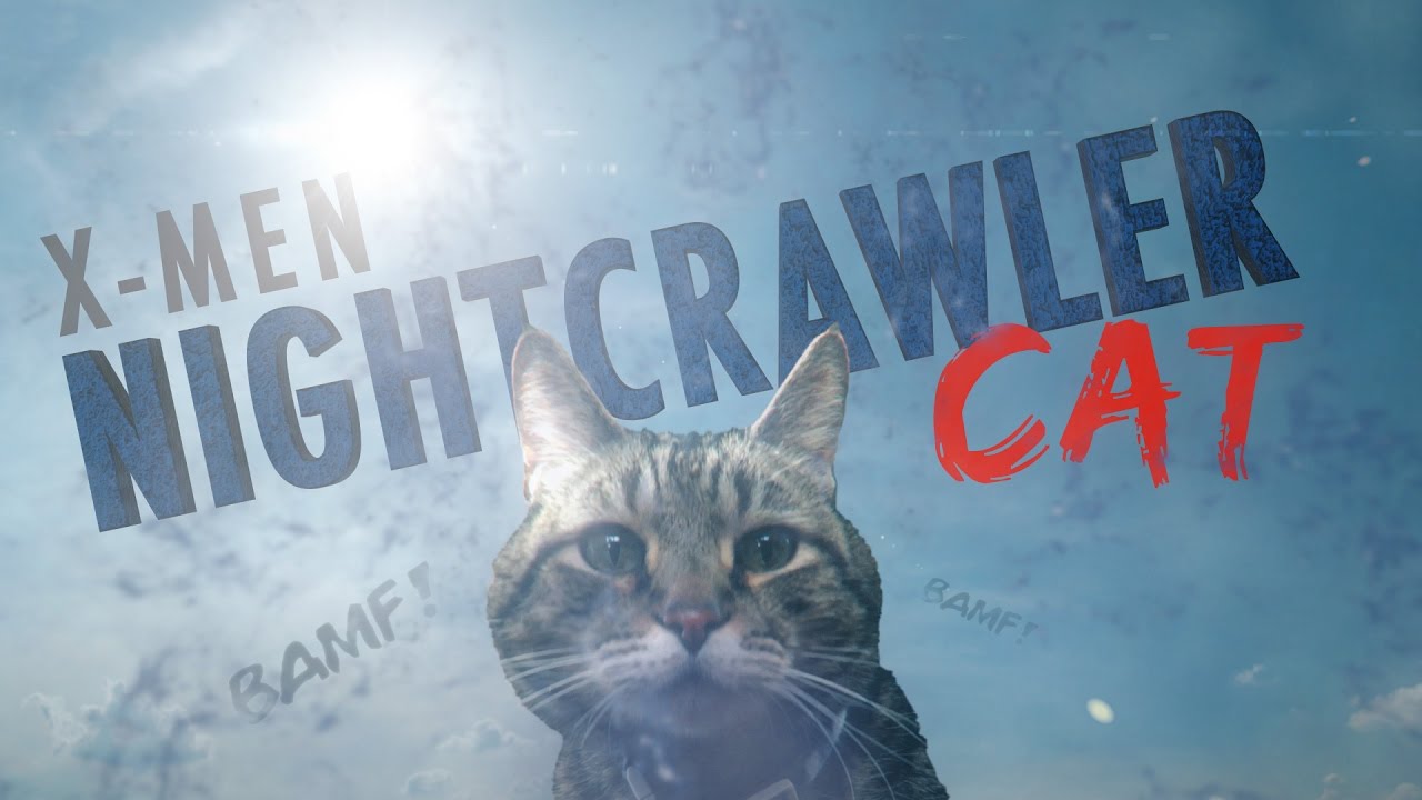 An X-Men Parody Where Nightcrawler Cat Takes Its Human on a Dangerous ...