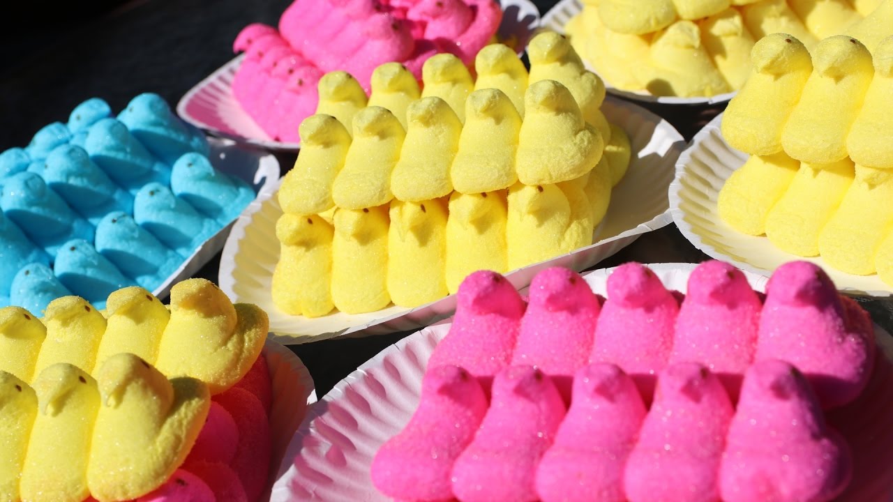 Matt Stonie Sets World Record for Eating 255 Marshmallow Peeps in 5 Minutes