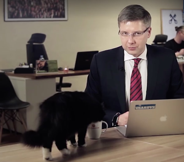 An Inconsiderately Curious Cat Interrupts the Mayor of Riga, Latvia ...