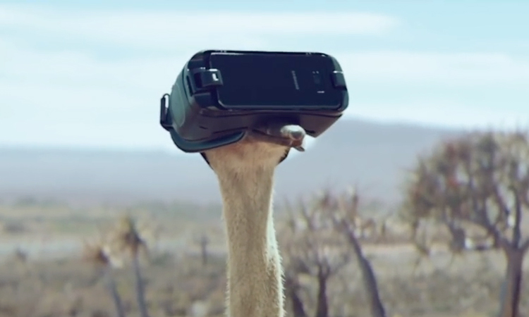 Virtual Reality Helps an Ostrich Learn to Fly in Samsung's New Ad for ...