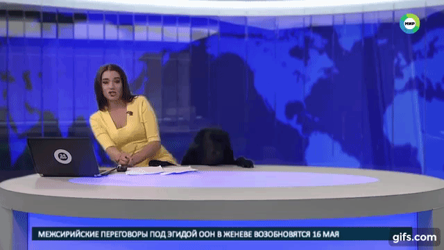 Russian Newscaster Surprised by a Big Black Dog Who Crawled Out From ...