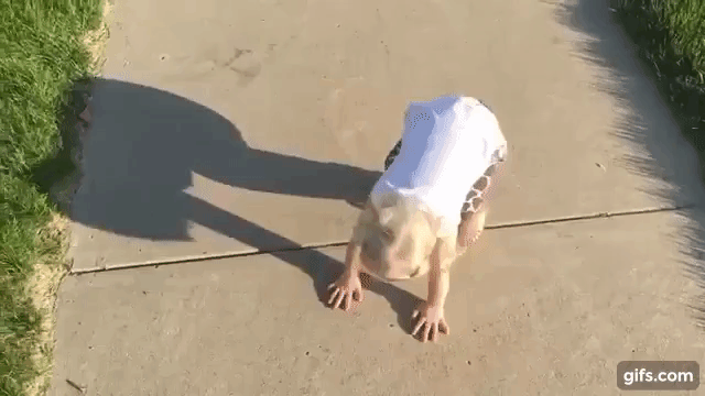 Adorable Little Girl Tries to Get Rid of Her Shadow by Sternly Telling ...