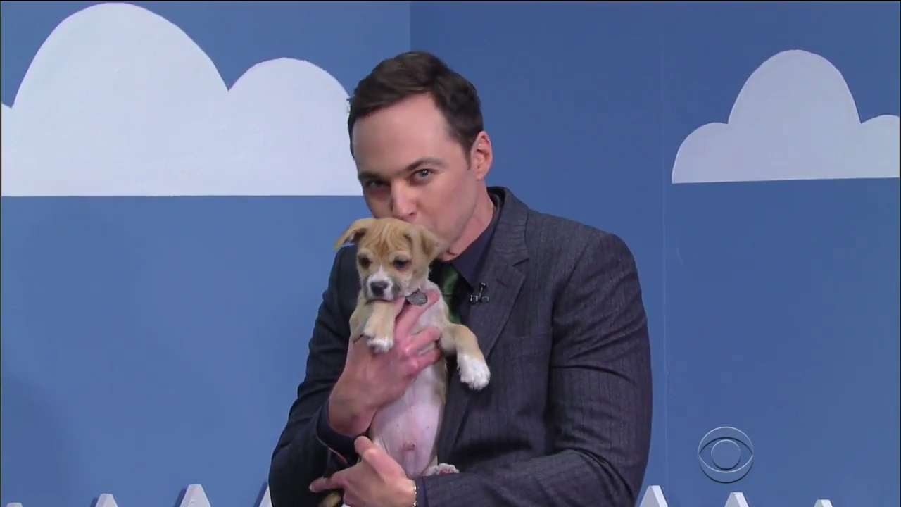 Stephen Colbert and Jim Parsons Tell Silly Lies About Adoptable Puppies ...