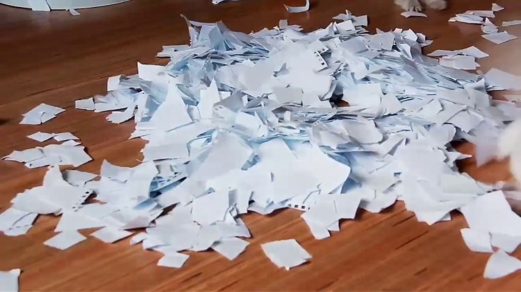 Ten Teeny Tiny Kittens Gleefully Romp Around In a Fabulous Pile of Torn ...