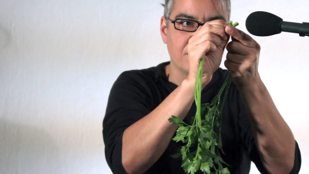 The Members of the Vegetable Orchestra Share the Ideas Behind Their ...