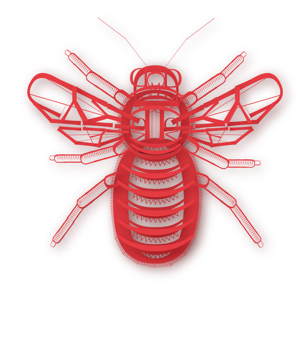 A Beautiful Series of Elegant Digital Insects Gracefully Formed From ...