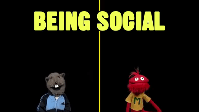 The Differences Between Runners and Non-Runners