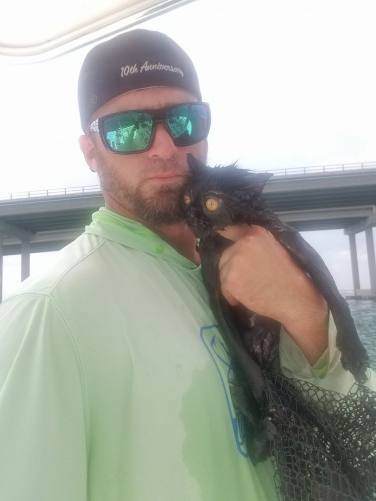 Compassionate Boat Captain Rescues a Little Black Cat Who Was Thrown ...