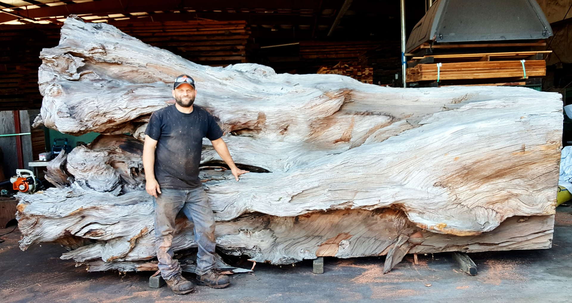 Artist Uses a Chainsaw to Transform a Fallen Redwood Tree Into a ...