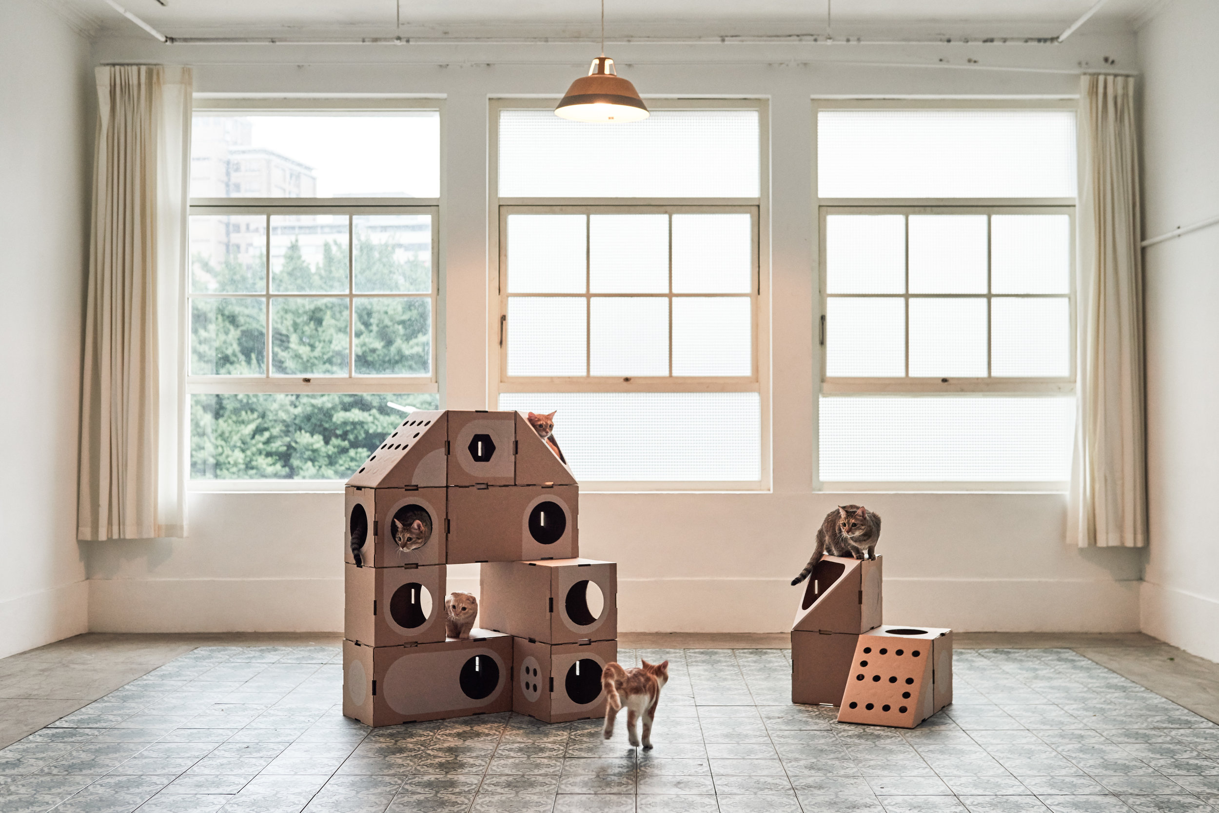 Wonderfully Modular, Interchangeable Cardboard Cat Dwellings Designed ...