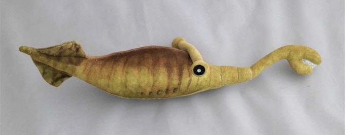 Tully Monster Plushie, A Cuddly Stuffed Version of the Mysterious ...