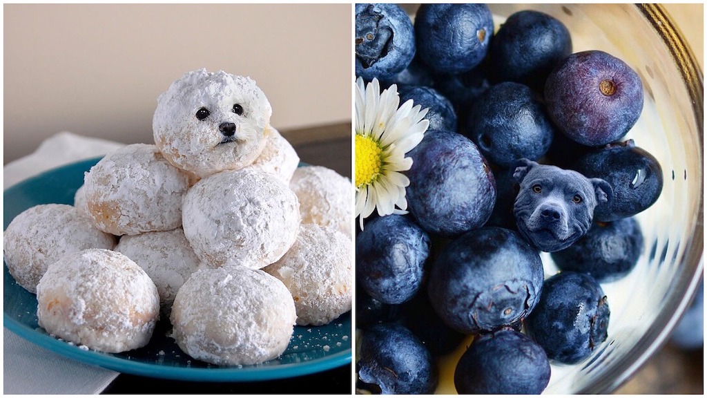 An Amusing Photo Series That Seamlessly Inserts Tiny Dog Faces Into ...