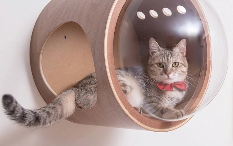 Cosmic Cat Beds Inspired by Classic Spaceships