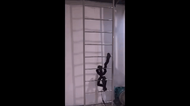 A Smoothly Flexible Segmented Snake Robot That Uses a Slithering Motion ...