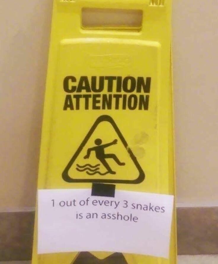 Caution: One Out of Every Three Snakes Is an Asshole