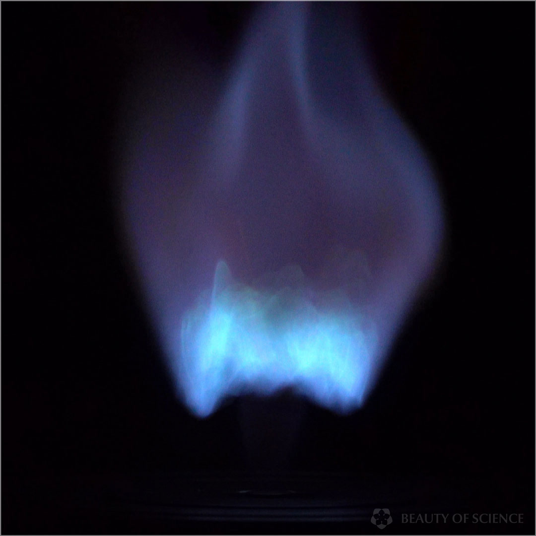 A Gorgeous 4K Film Capturing the Fiery Personalities That Reveal ...