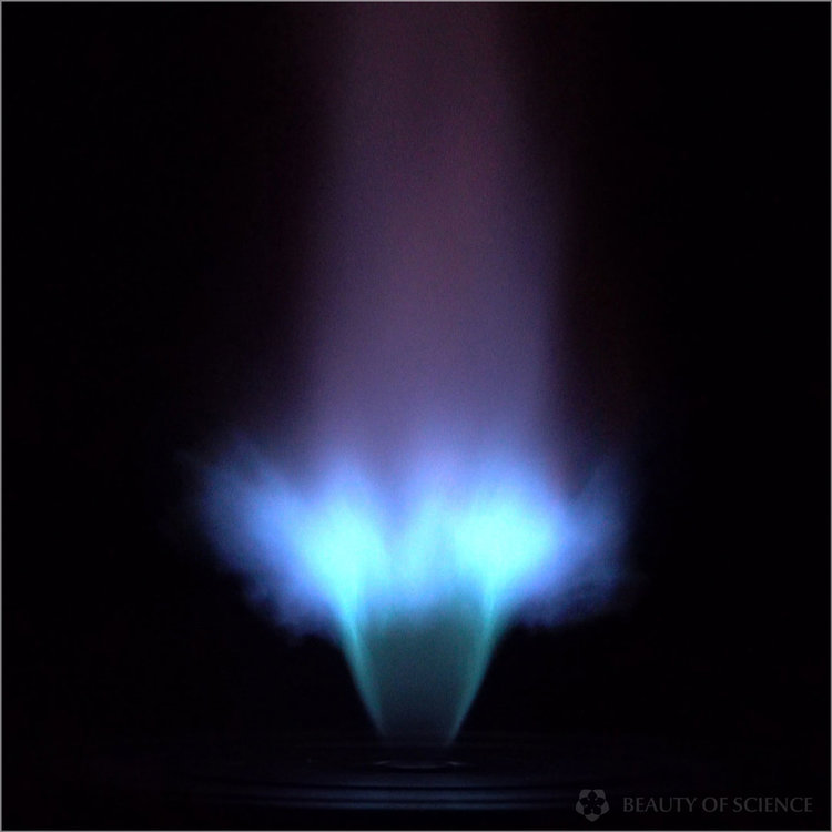 A Gorgeous 4K Film Capturing the Fiery Personalities That Reveal ...