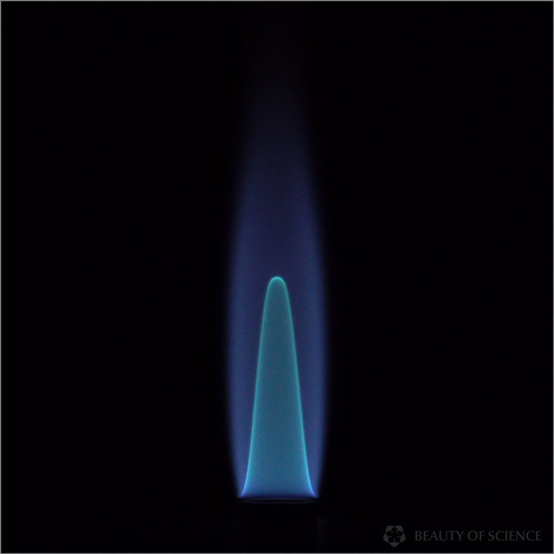 A Gorgeous 4K Film Capturing the Fiery Personalities That Reveal ...