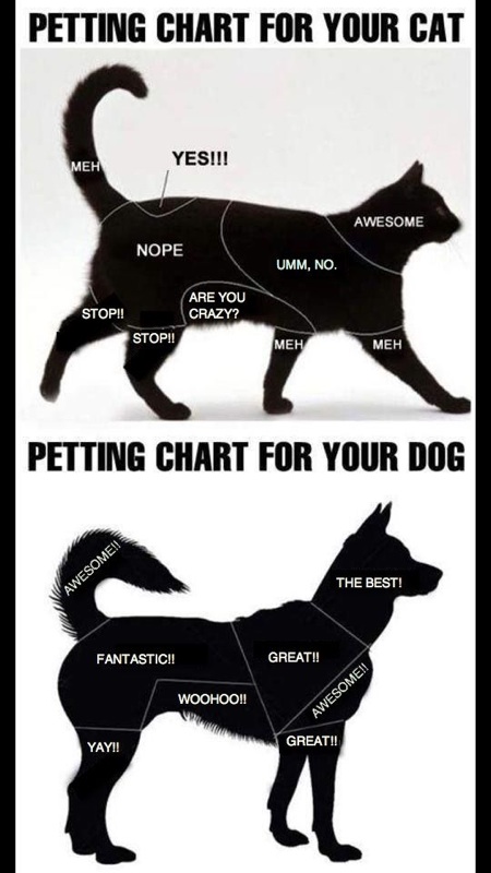 Petting Charts for Cats and Dogs