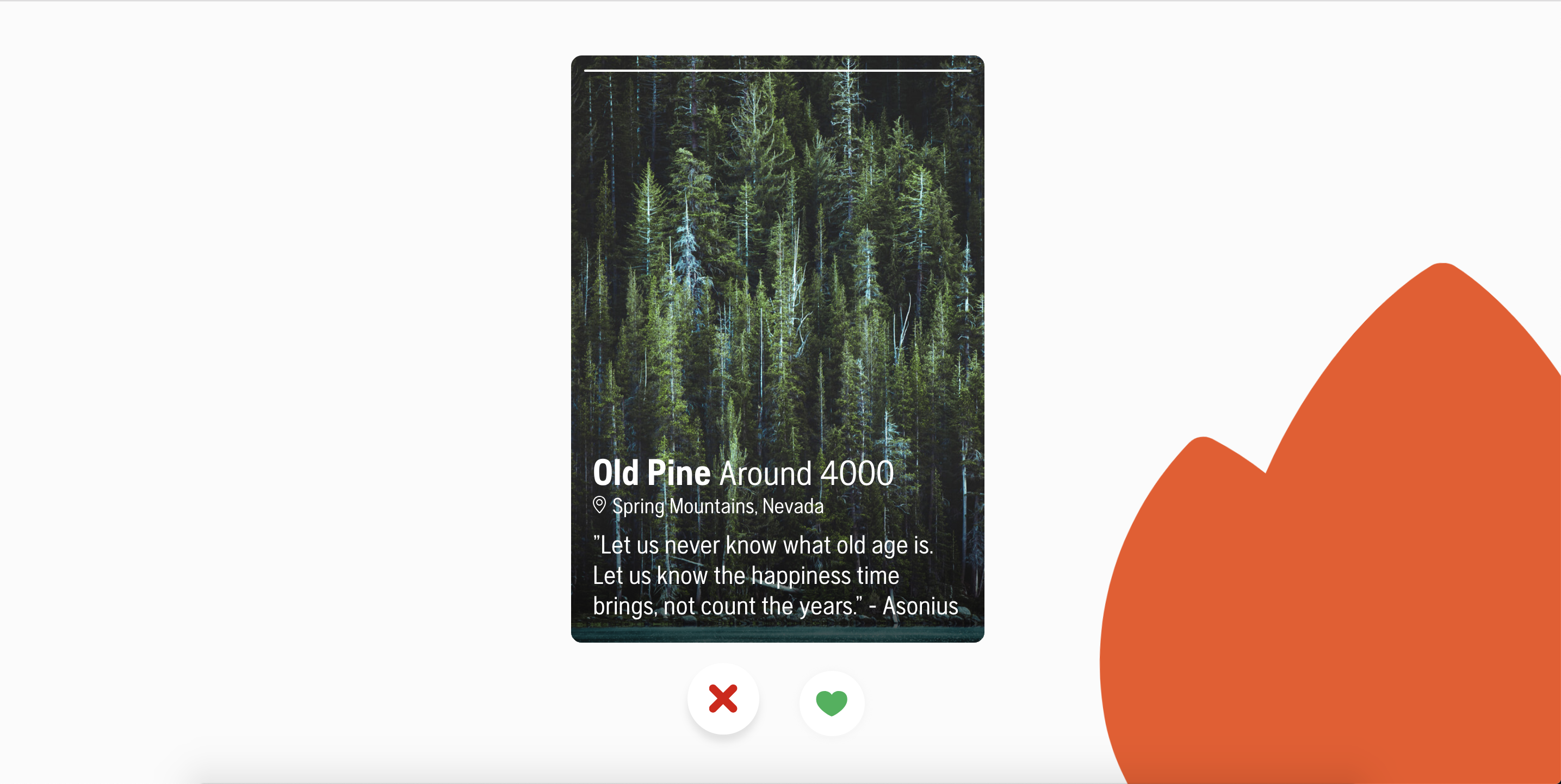 Husqvarna Launches 'Timber', An App That Matches Tree Lovers With ...