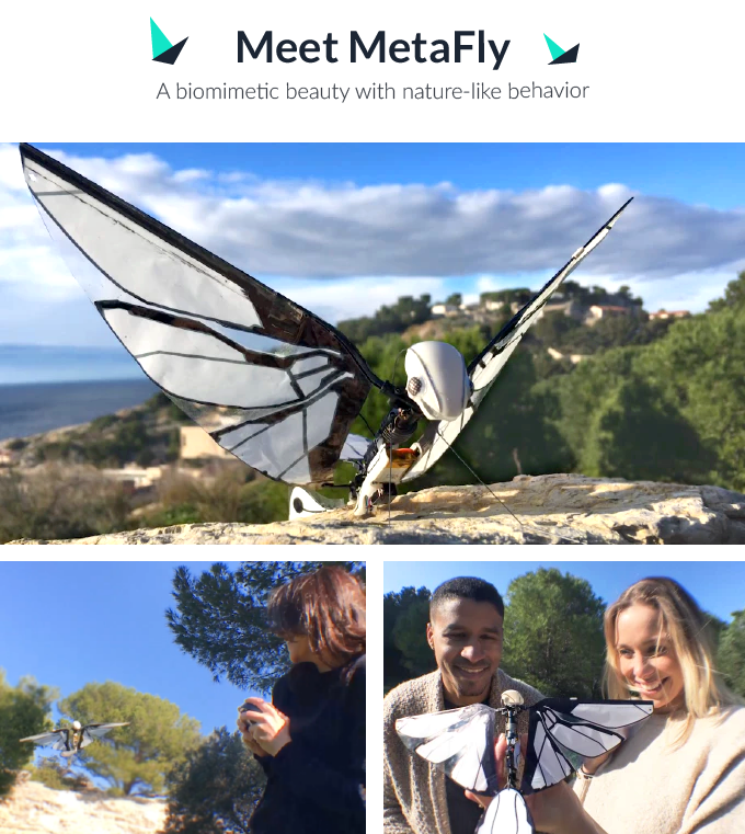 MetaFly, A Durable, Flexible Flying Robot That Mimics the Movements of ...