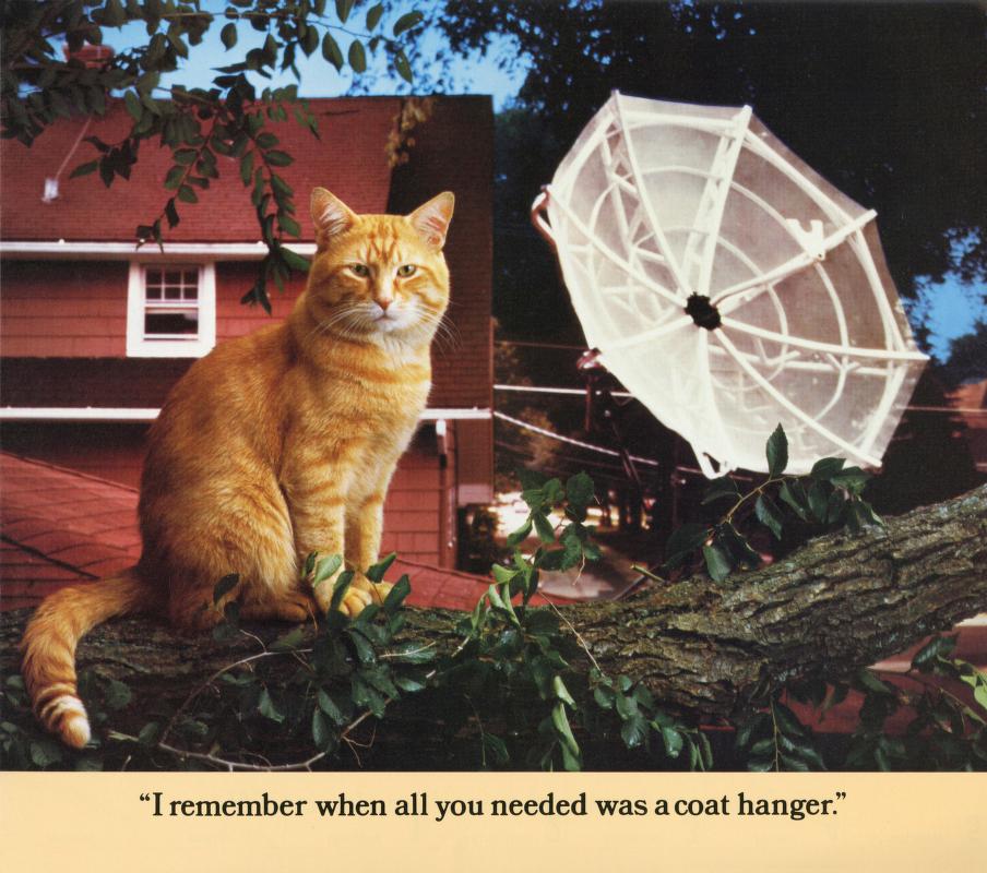 1986 Calendar Featuring Morris the Cat Making Snide Remarks on How ...