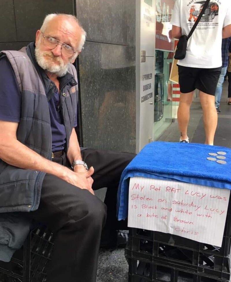 Kind Hearted People on the Internet Help Homeless Man Find Beloved Pet ...