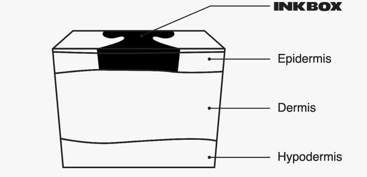 Inkbox, Natural Semi-Permanent Tattoos That Last 1-2 Weeks and Can Be ...