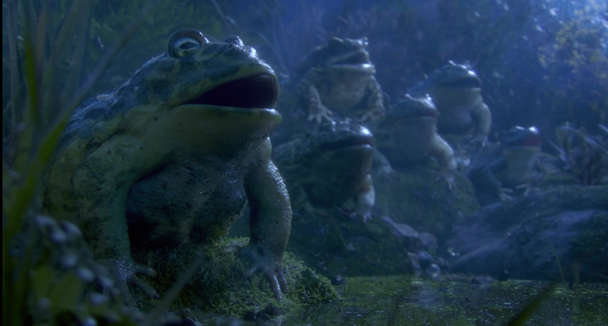 Beautifully Animated Woodland Creatures Perform a Gorgeous Bellini Opera Aria Under a Full Moon