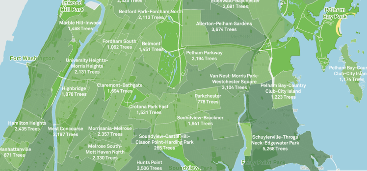 An Interactive Map That Shows All the Public Trees in Each Neighborhood ...