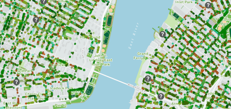 An Interactive Map That Shows All the Public Trees in Each Neighborhood ...