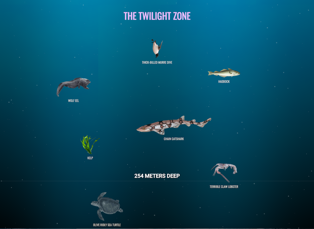 Fascinating Visual Deep Dive That Lets You Scroll Down to See What ...