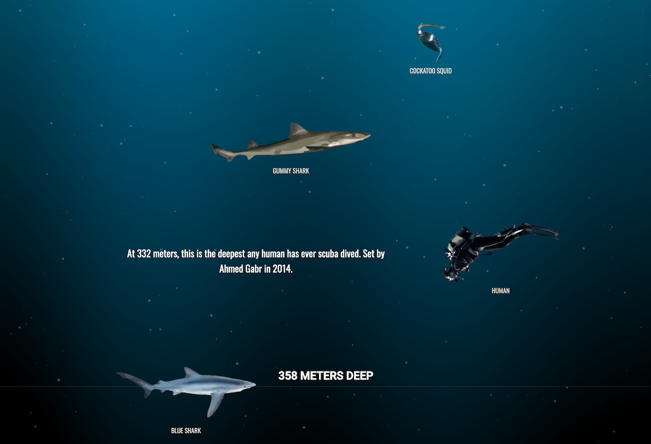 Fascinating Visual Deep Dive That Lets You Scroll Down to See What ...